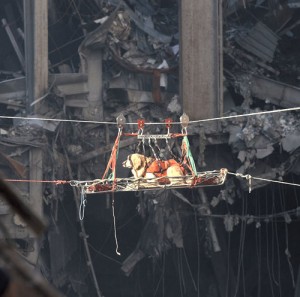 Meet One of the Dog Teams - Earth in Transition